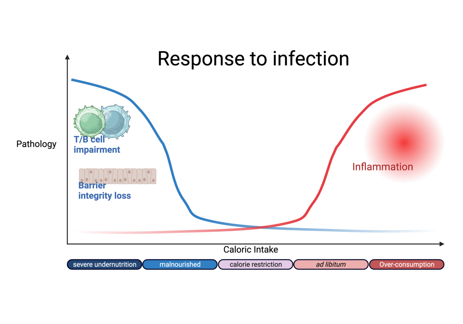 Nutritional regulation of SIV pathogenesis and persistence – Mudd ...